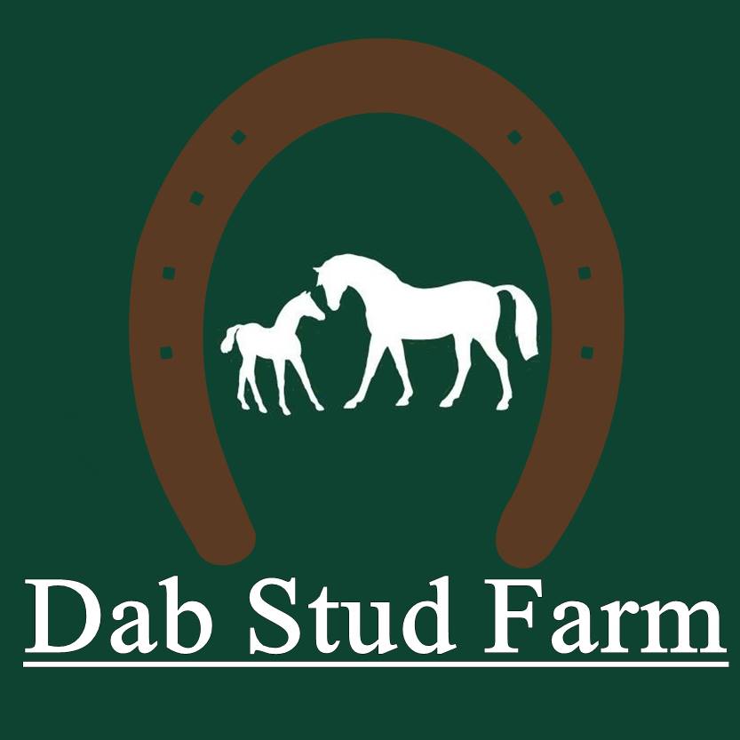 Dab Stud Farms - Faisalabad